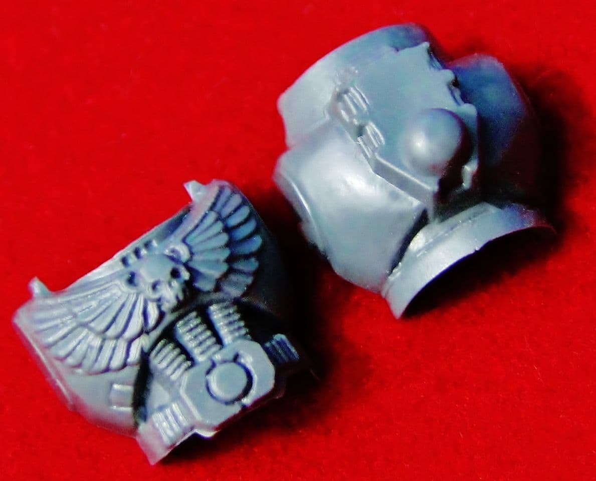 Space Marine Body Torso (Aquila & Skull) front and back OOP Spru Bitz